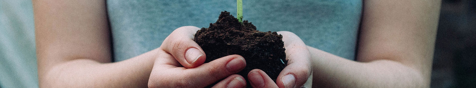 Promena AG - Pratteln